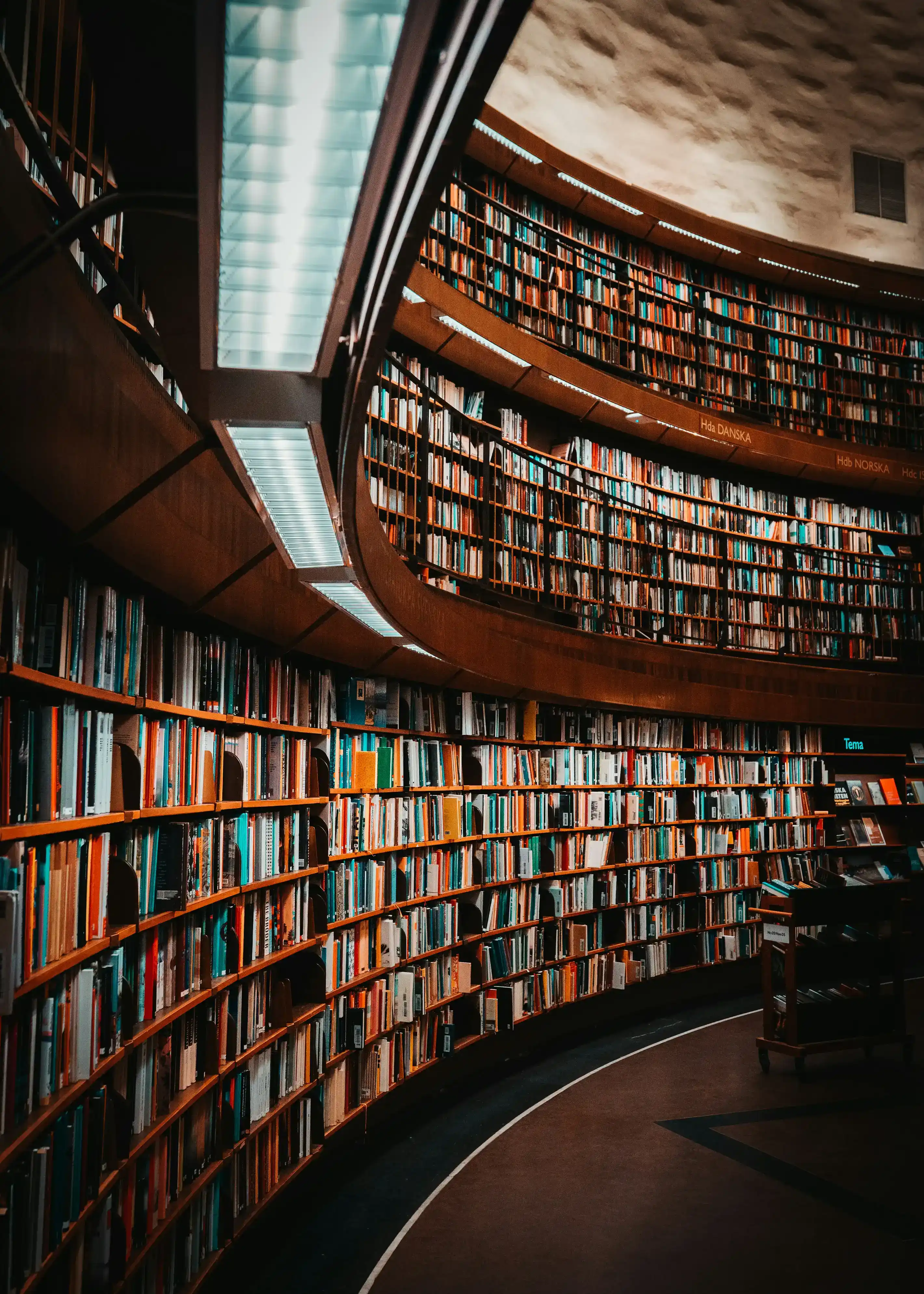 MindSpace Library - Your Study & Work Space